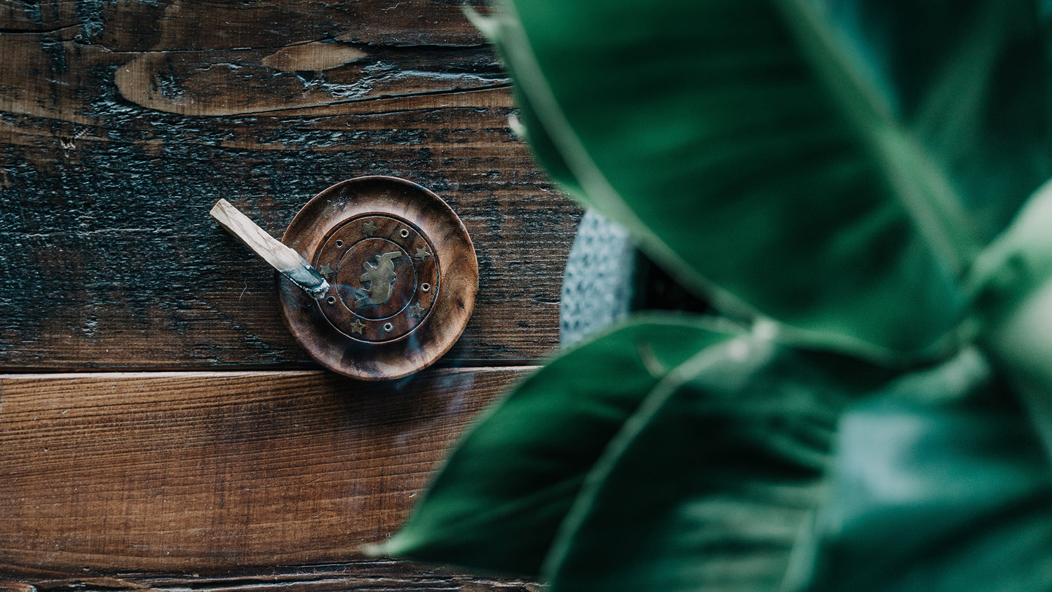 Palo Santo, the Holy Wood that Gets Better with Age. – DharmaCrafts