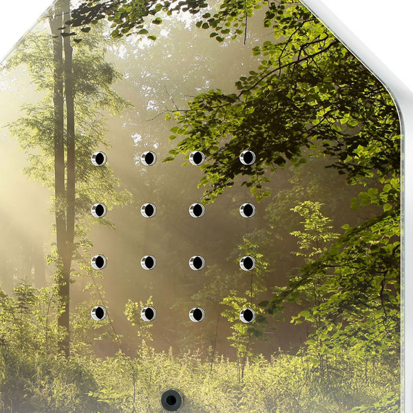 Bird Soundbox: Sunbeam – DharmaCrafts