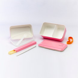 Two Tier Bento Box - Perfect Container for Lunches | DharmaCrafts