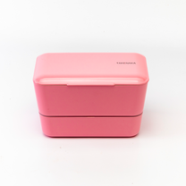 Two Tier Bento Box - Perfect Container for Lunches | DharmaCrafts